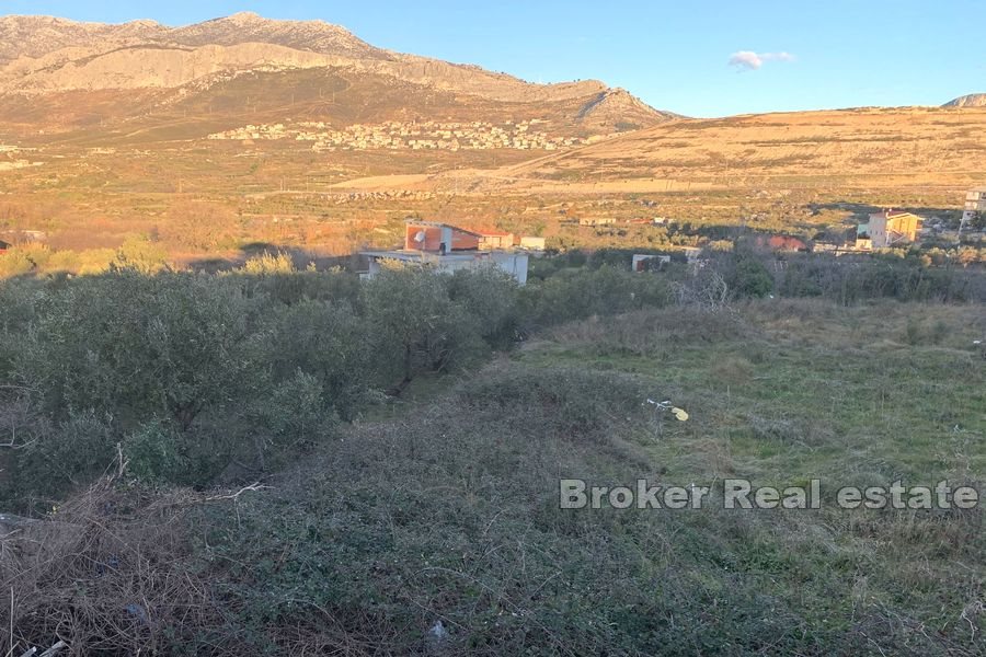 Split area - Building land